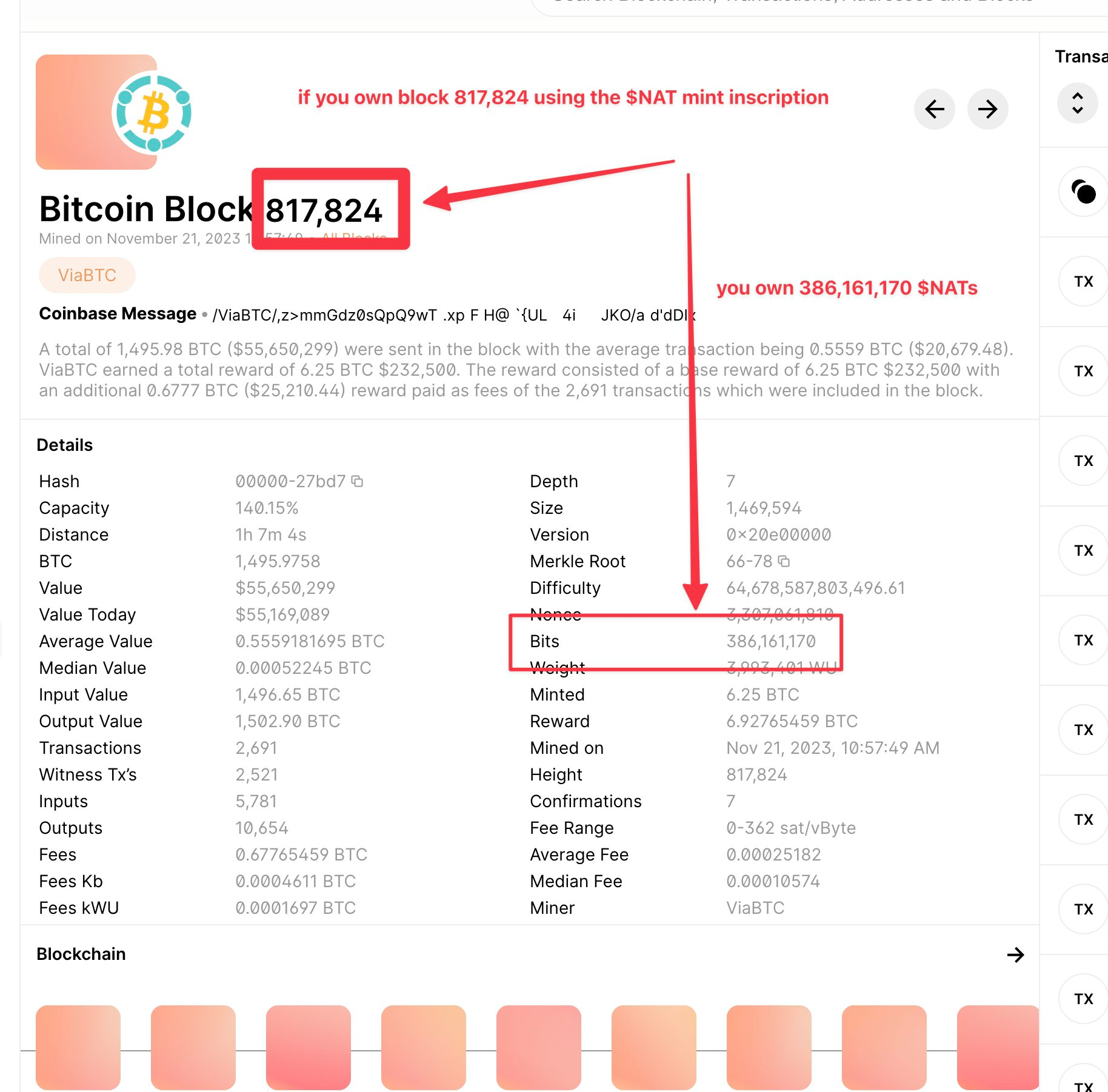 基于DMT理论诞生的铭文项目NAT究竟是什么？ - 叮当号