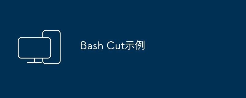 Bash Cut示例 - 叮当号