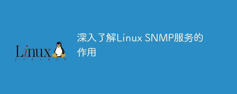 深入了解Linux SNMP服务的作用 - 叮当号