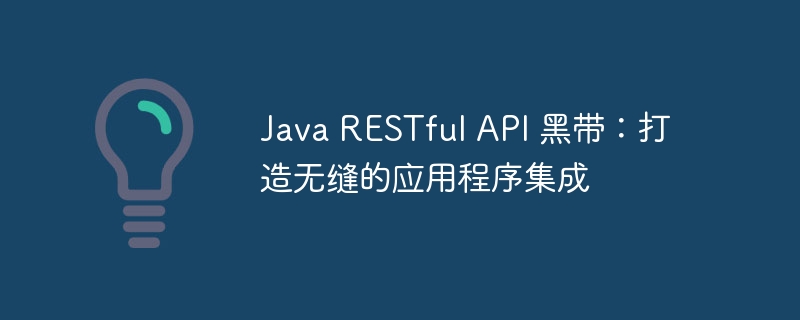 Java RESTful API 黑带：打造无缝的应用程序集成 - 叮当号