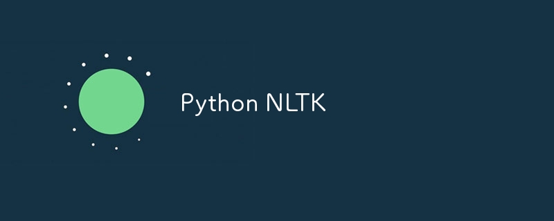 Python NLTK - 叮当号