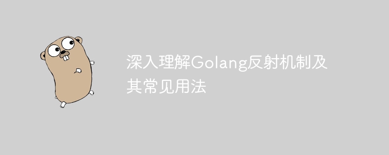 深入理解Golang反射机制及其常见用法 - 叮当号