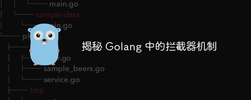 揭秘 Golang 中的拦截器机制 - 叮当号