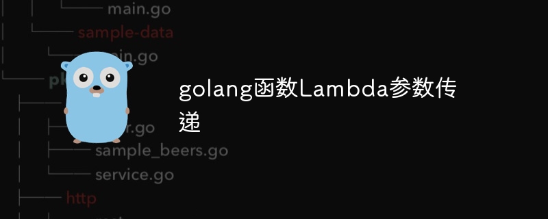golang函数Lambda参数传递 - 叮当号
