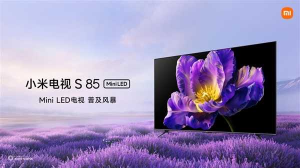 体验领先的高端画质旗舰 小米电视S 85 Mini LED正式发布 - 叮当号