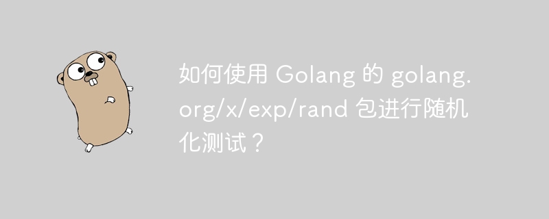 如何使用 Golang 的 golang.org/x/exp/rand 包进行随机化测试？ - 叮当号
