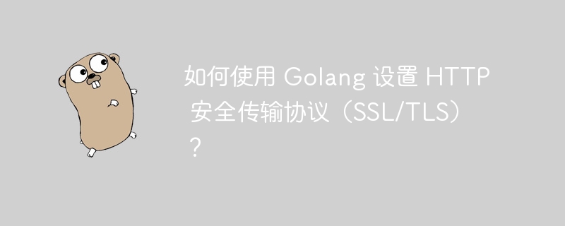 如何使用 Golang 设置 HTTP 安全传输协议（SSL/TLS）？ - 叮当号