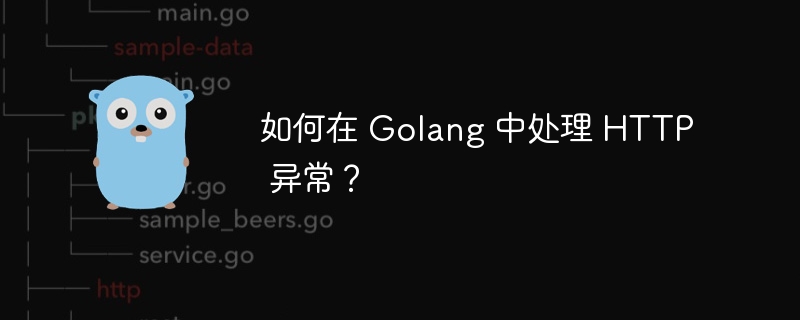 如何在 Golang 中处理 HTTP 异常？ - 叮当号
