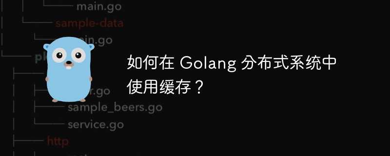 如何在 Golang 分布式系统中使用缓存？ - 叮当号