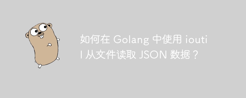 如何在 Golang 中使用 ioutil 从文件读取 JSON 数据？ - 叮当号