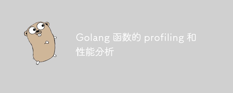 Golang 函数的 profiling 和性能分析 - 叮当号