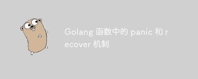 Golang 函数中的 panic 和 recover 机制 - 叮当号