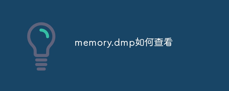 memory.dmp如何查看 - 叮当号