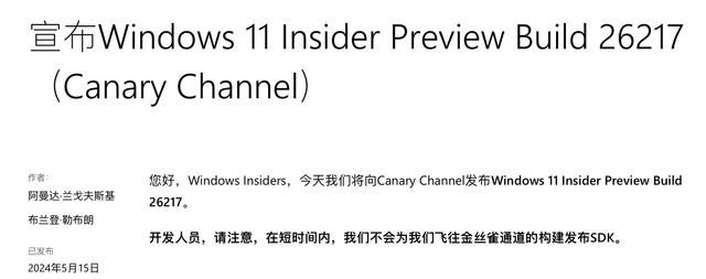 Win11 Canary 26217预览版今日发布:修复 2 项 Bug、新增 1 项 Bug - 叮当号