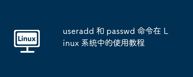 useradd 和 passwd 命令在 Linux 系统中的使用教程 - 叮当号