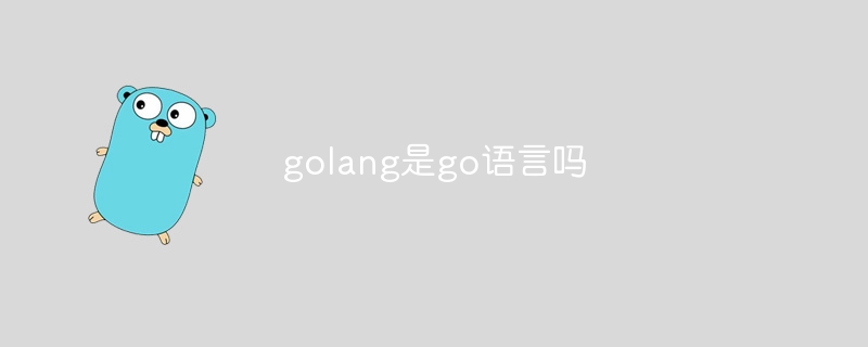 golang是go语言吗 - 叮当号