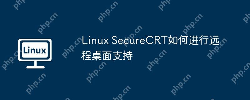 Linux SecureCRT如何进行远程桌面支持 - 叮当号