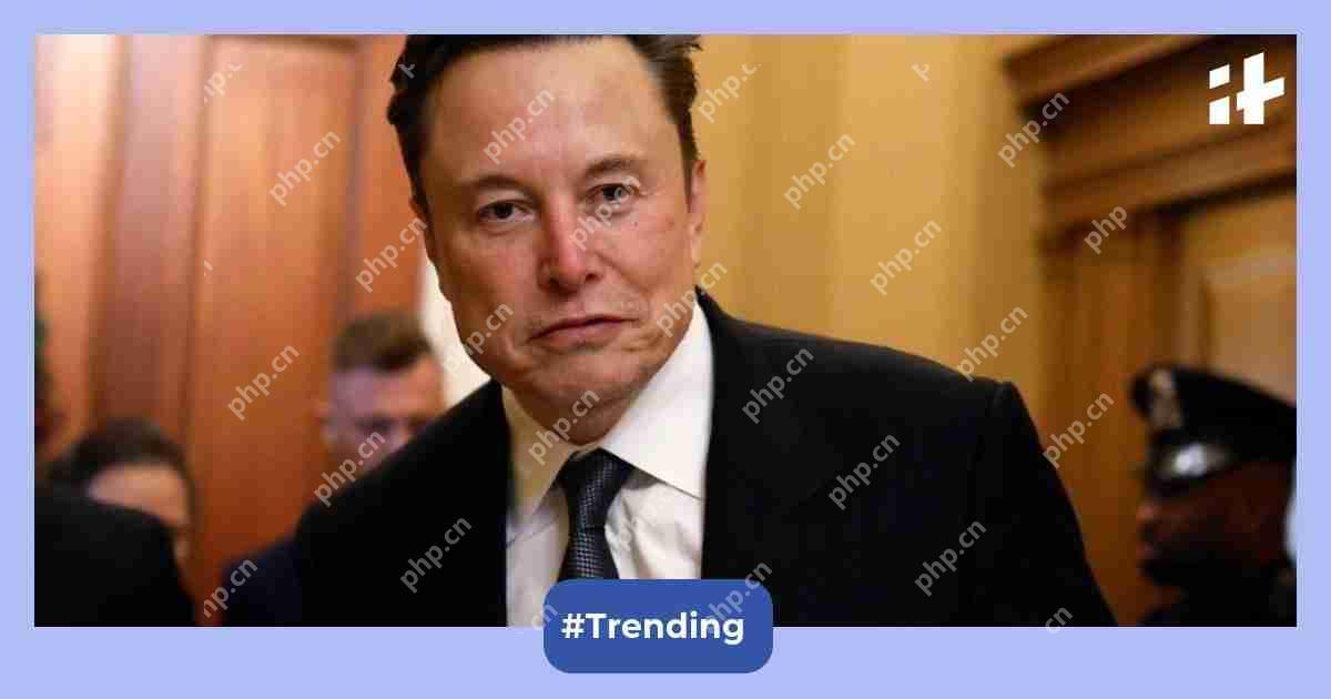 埃隆·马斯克（Elon Musk）将他的X显示名称更改为“ Grokon Rust” - 叮当号