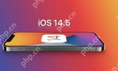 iOS14.5 App追踪功能怎么开启 - 叮当号